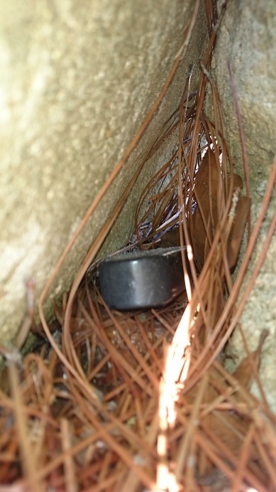 Geocaching - Eglin Air Force Base - iSportsman